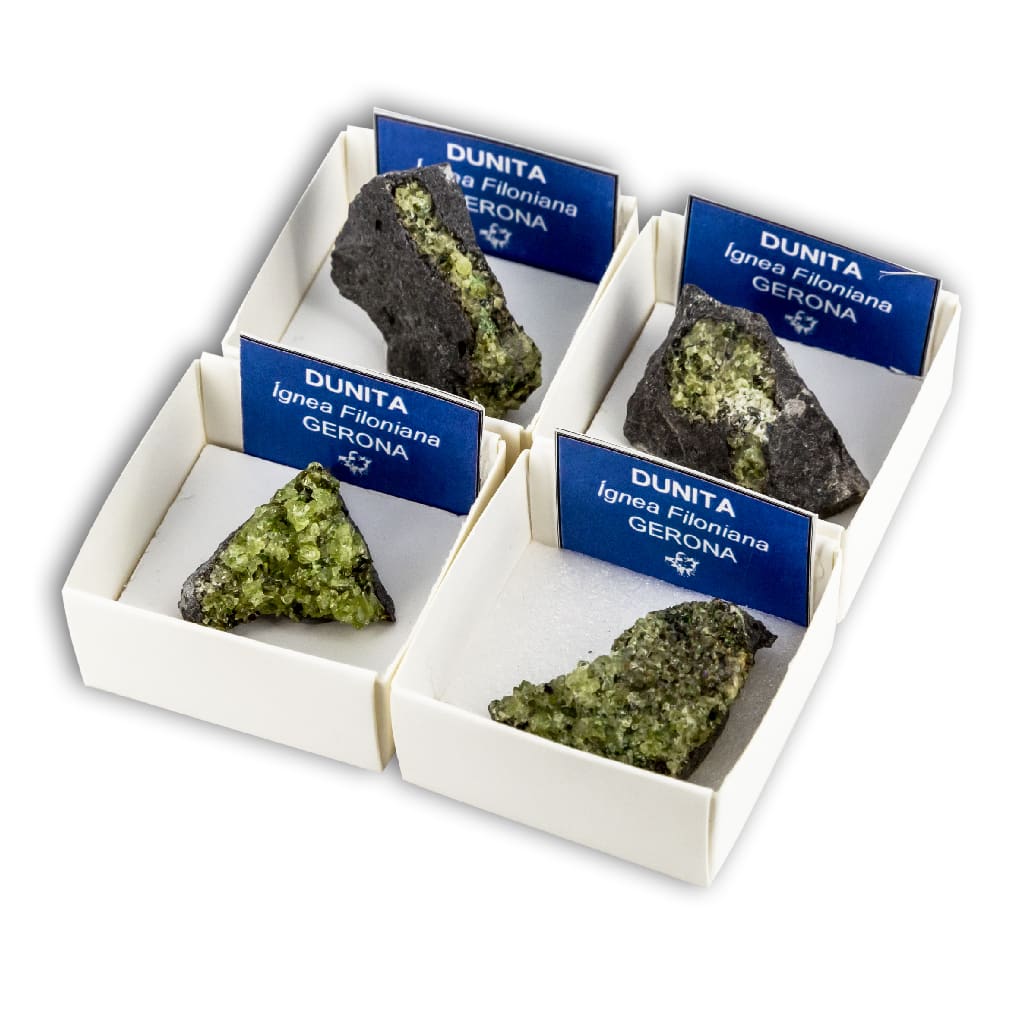 Dunita in Collection Box 4x4 cm – Colecciones de Minerales