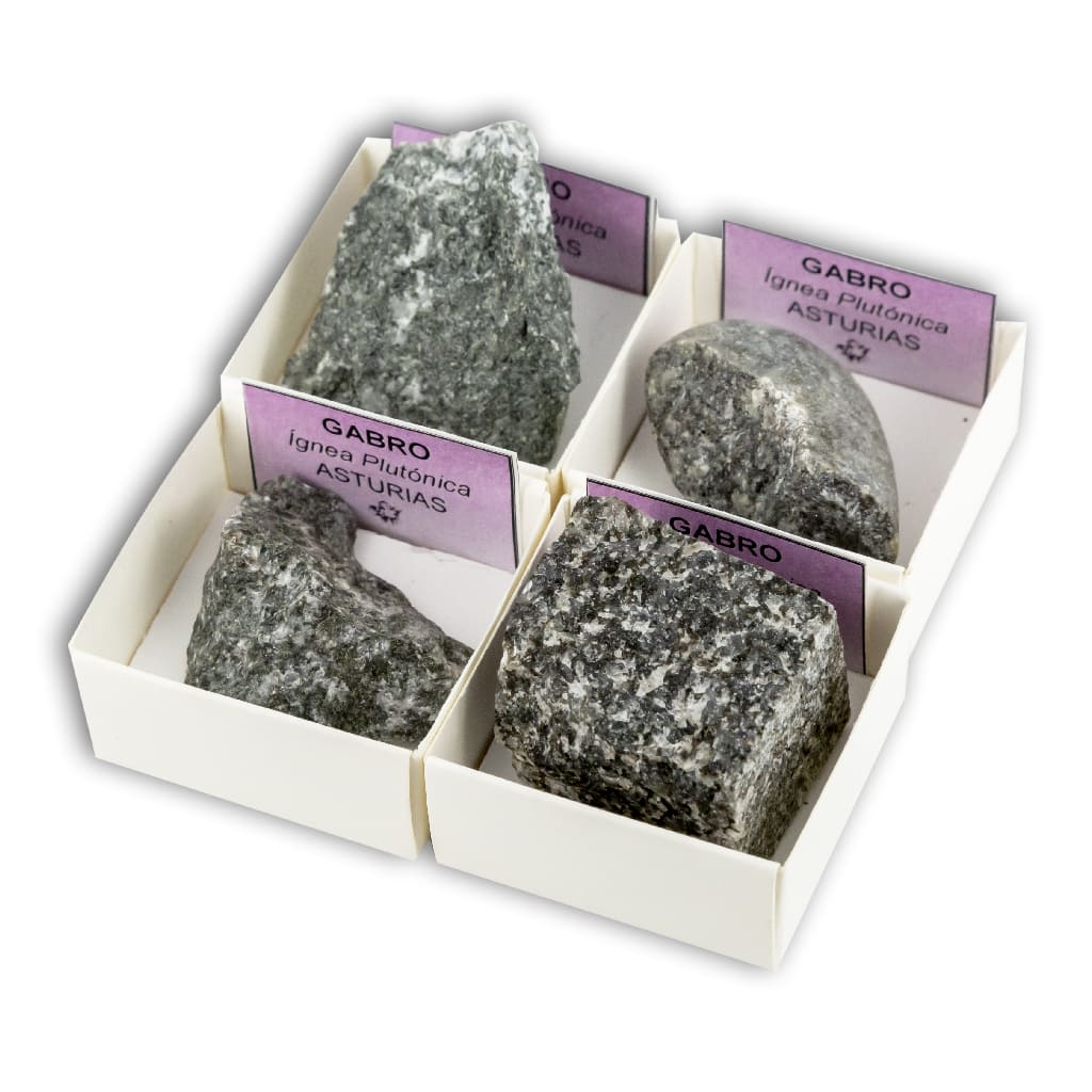 Gabbro in Collection Box 4x4 cm – Colecciones de Minerales