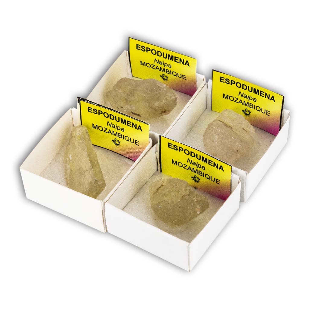 Spodumene in Collection Box 4x4 cm – Colecciones de Minerales