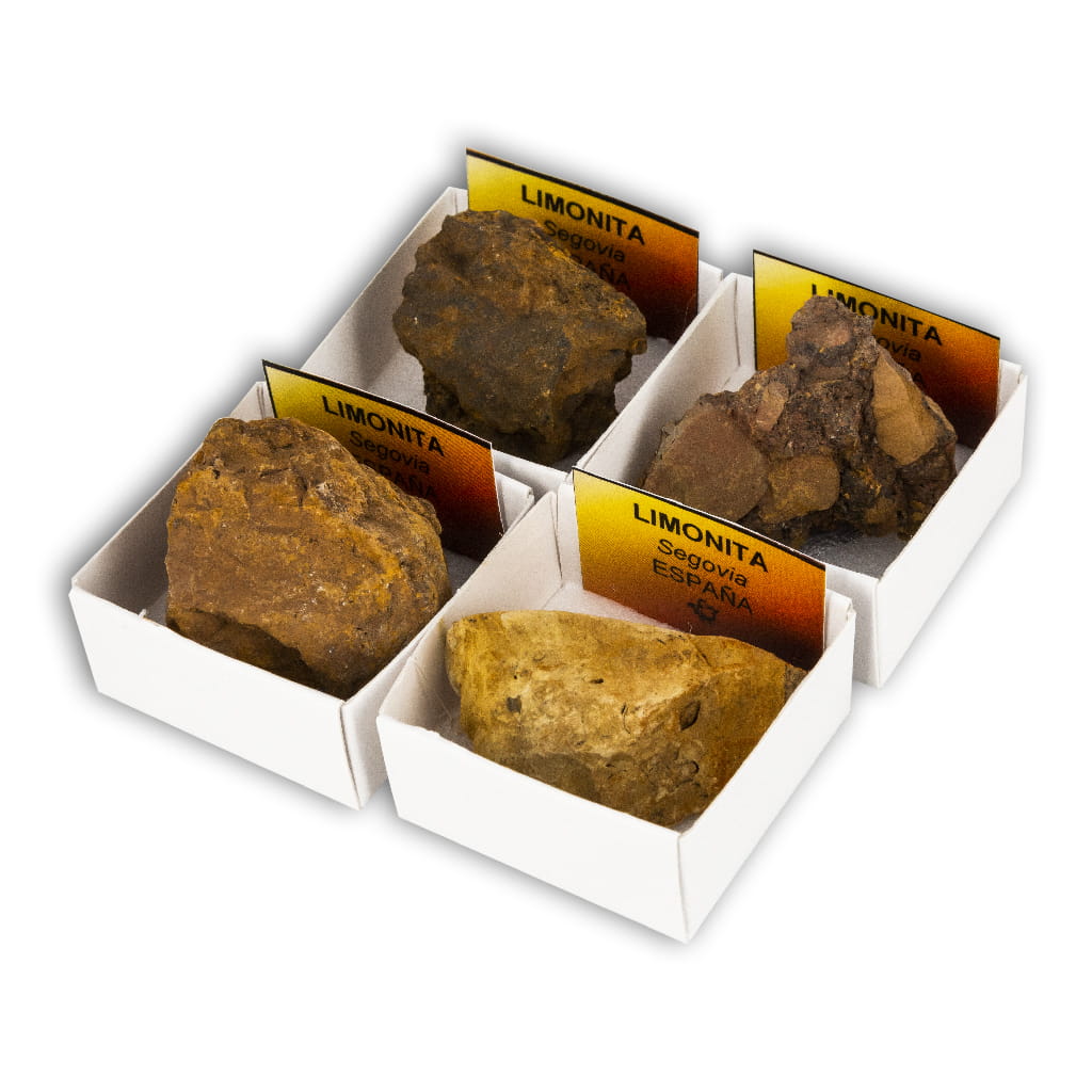 Limonite in a Collection Box 4x4 cm – Colecciones de Minerales