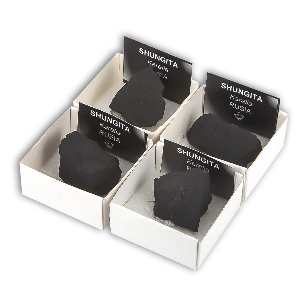 Shungite in Collection Box 4x4 cm — Colecciones de Minerales