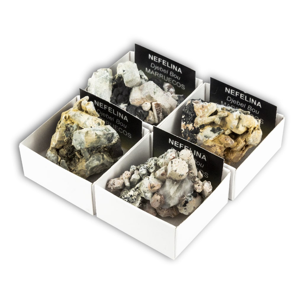 Nefelina en Cajita de Colección 4x4 cm – Colecciones de Minerales